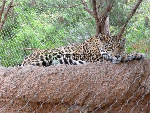Leopard Enclosure Fence - Stainless Steel Cable Mesh Supplier - LIULIN