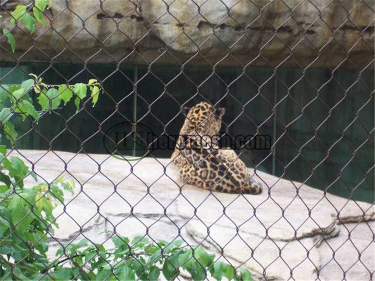 Leopard Enclosure Fence - Stainless Steel Cable Mesh Supplier - LIULIN