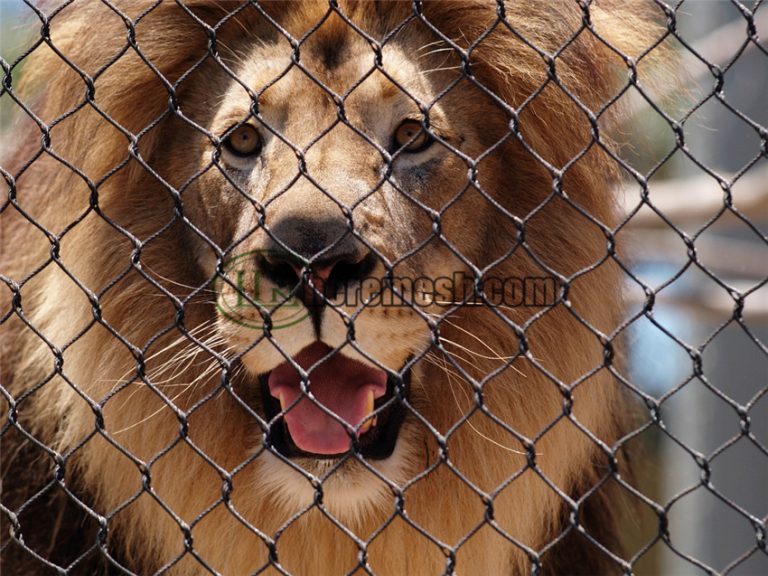 Walk-in Aviary - Stainless Steel Cable Mesh Supplier - LIULIN