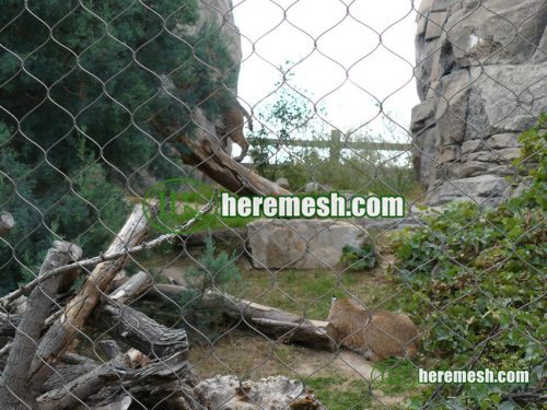 Lion fencing, lion cages - Stainless Steel Cable Mesh Supplier - LIULIN