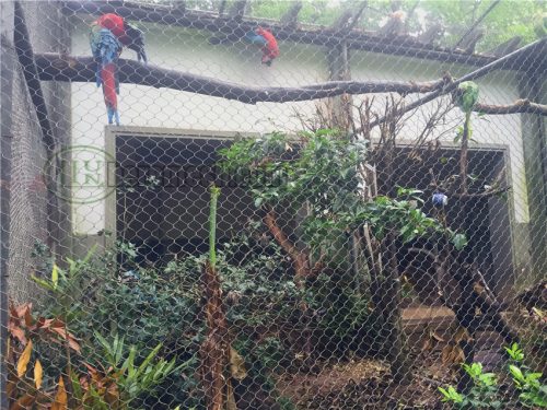 Macaw enclosure fence mesh - Stainless Steel Cable Mesh Supplier - LIULIN