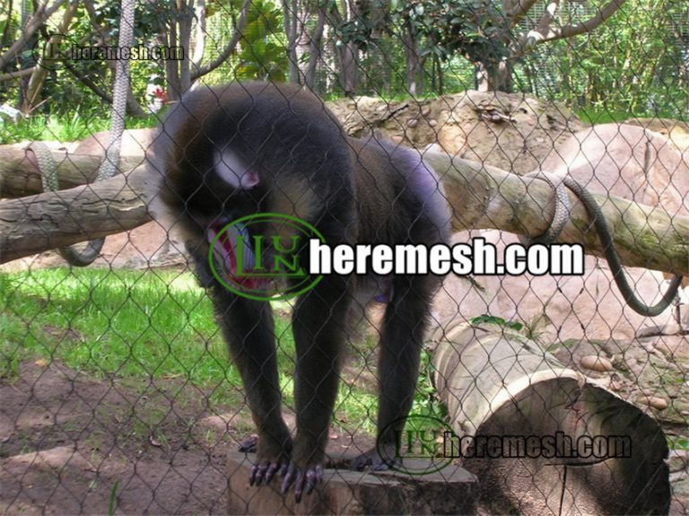 Monkey barrier netting, monkey mesh - Stainless Steel Cable Mesh ...