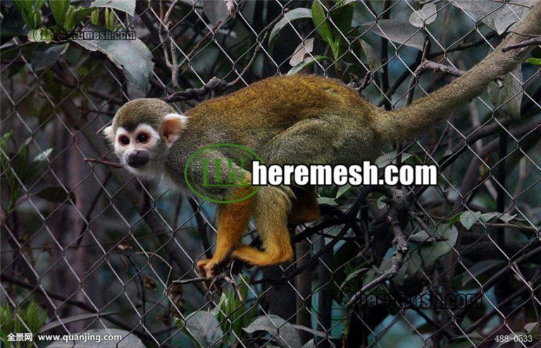 Monkey mesh , Monkey enclosure, monkey fence applied in zoo park
