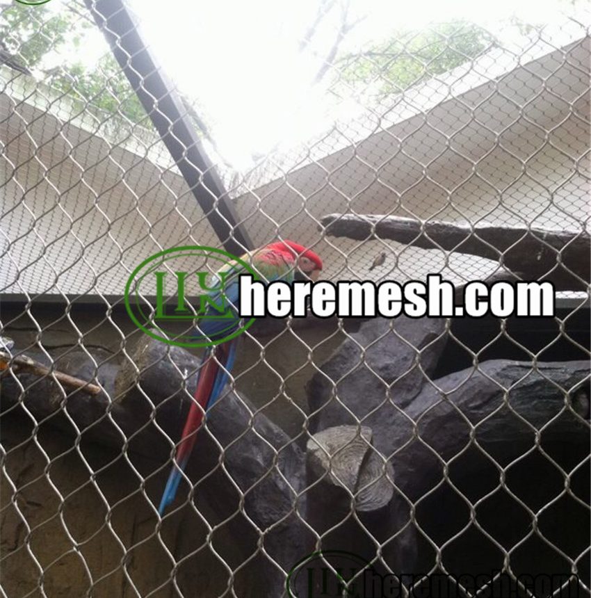 Parrot Aviary Mesh Order Delivery-Stainless Steel Rope Mesh