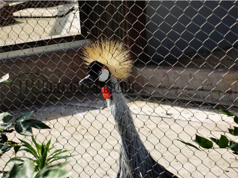 Tiger Fence Mesh - Stainless Steel Cable Mesh Supplier - LIULIN