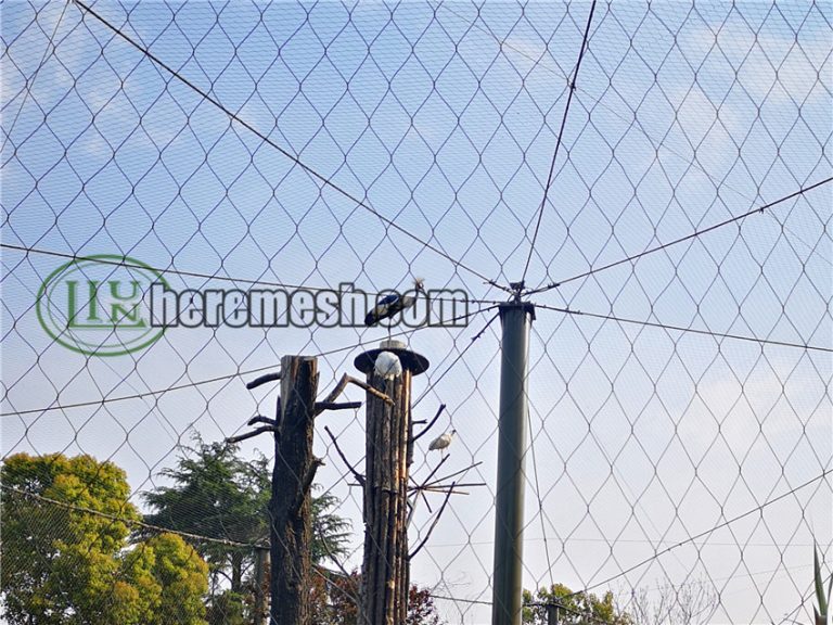 Oversized flexible wire cable mesh panels applied in bird aviary fence.