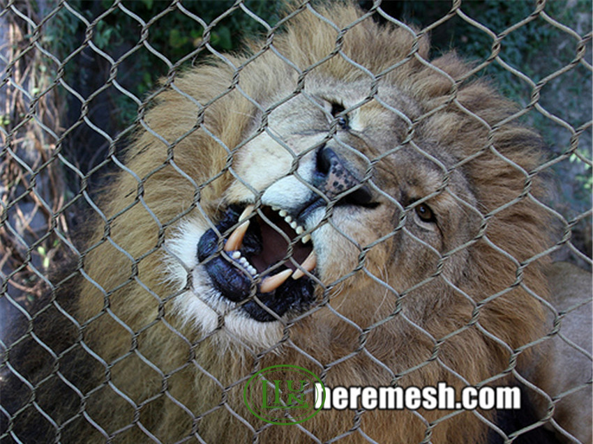 Lion Fence Mesh - Stainless Steel Cable Mesh Supplier - LIULIN