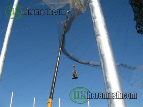 Bird Aviary Mesh Installation-Building the perfect aviary