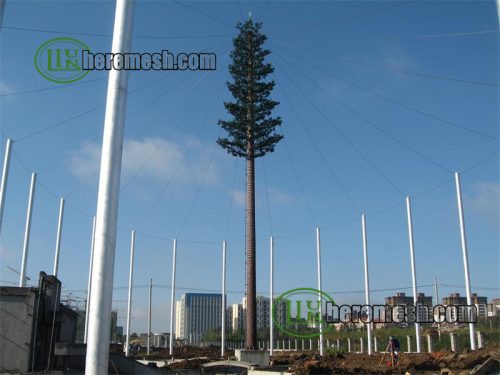 Bird Aviary Mesh Installation-Building the perfect aviary