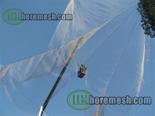 Bird Aviary Mesh Installation-Building the perfect aviary