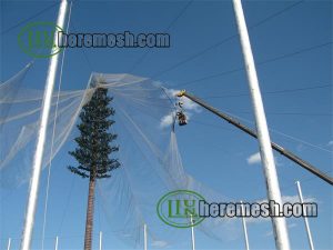 Bird Aviary Mesh Installation-Building the perfect aviary