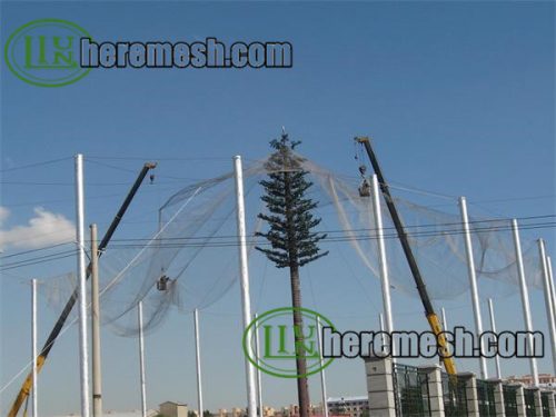 Bird Aviary Mesh Installation-Building the perfect aviary