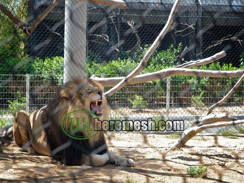 Lion Cage Enclosure-Stainless Steel Wire Rope Mesh