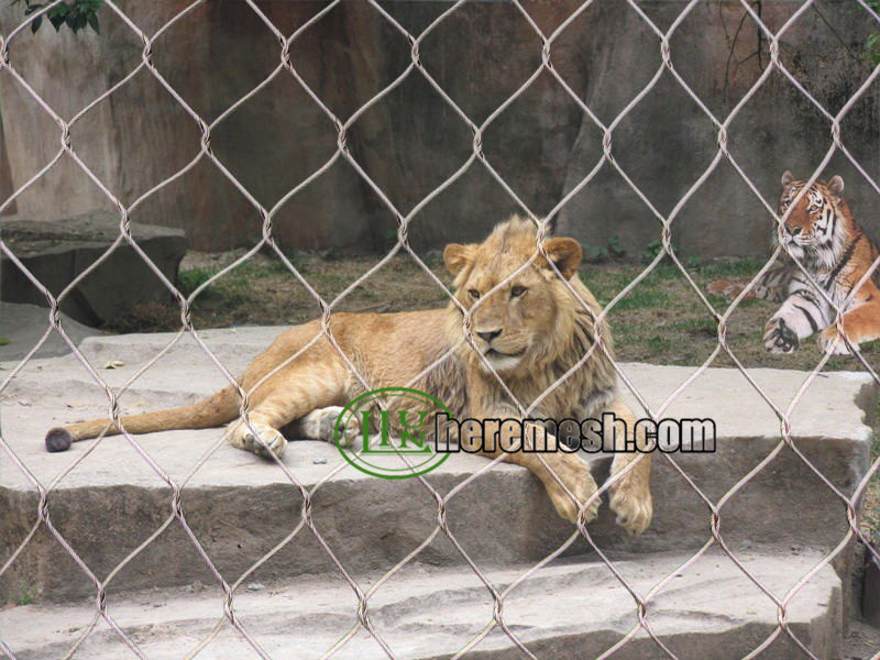 Lion Cage Enclosure-Stainless Steel Wire Rope Mesh