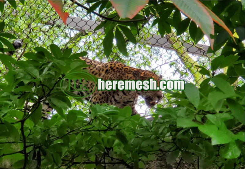 Big Cats Mesh ,Stainless Steel Wire Rope Mesh ,Zoo Mesh