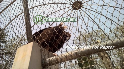 Aviary Mesh For Raptor-such as eagle net, vulture net, bald eagle net