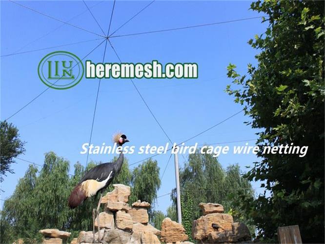 Stainless Steel Bird Cage Wire Netting, Bird Aviary Netting