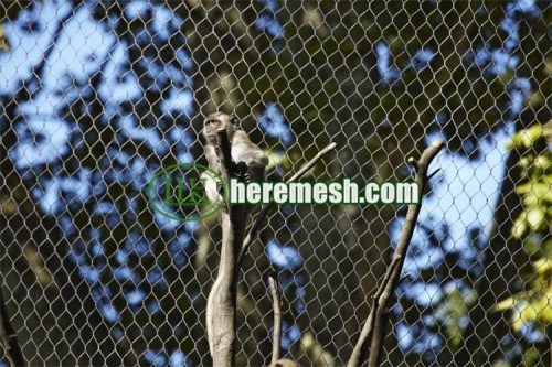 Primate Enclosure Mesh, monkeys cage mesh, gibbons cage net