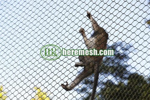 Primate Enclosure Mesh, monkeys cage mesh, gibbons cage net