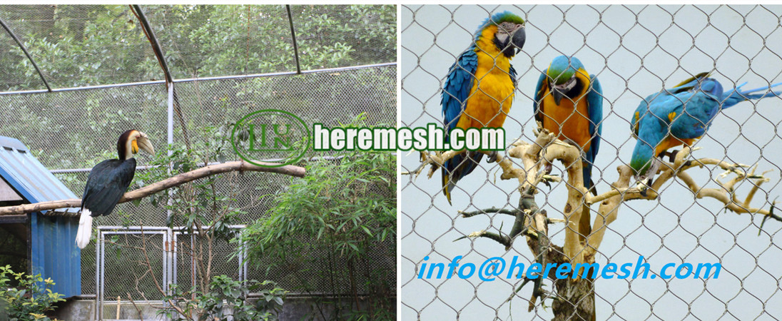 Large birds cage netting，Large bird aviary mesh, Bird aviary net