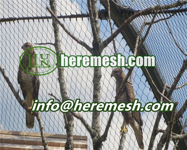 wire for bird aviary & bird enclosure netting,wire mesh for bird aviary