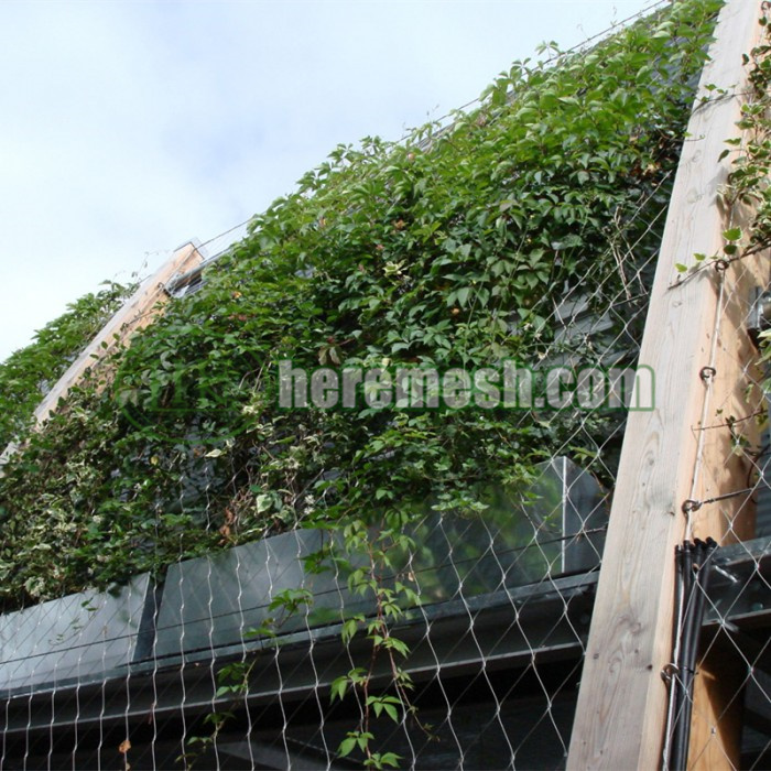 Green wall mesh ,Stainless steel green wall mesh, plant climbing mesh
