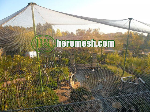 High-altitude Bird Aviary Mesh, Bird Park Netting, Bird Forest Mesh