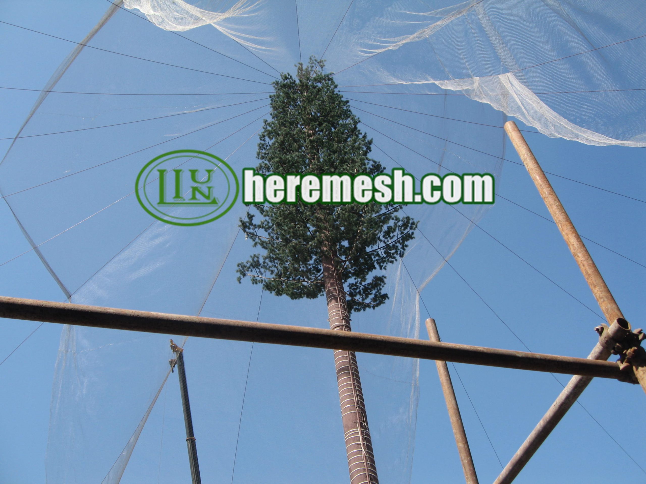 High-altitude Bird Aviary Mesh, Bird Park Netting, Bird Forest Mesh