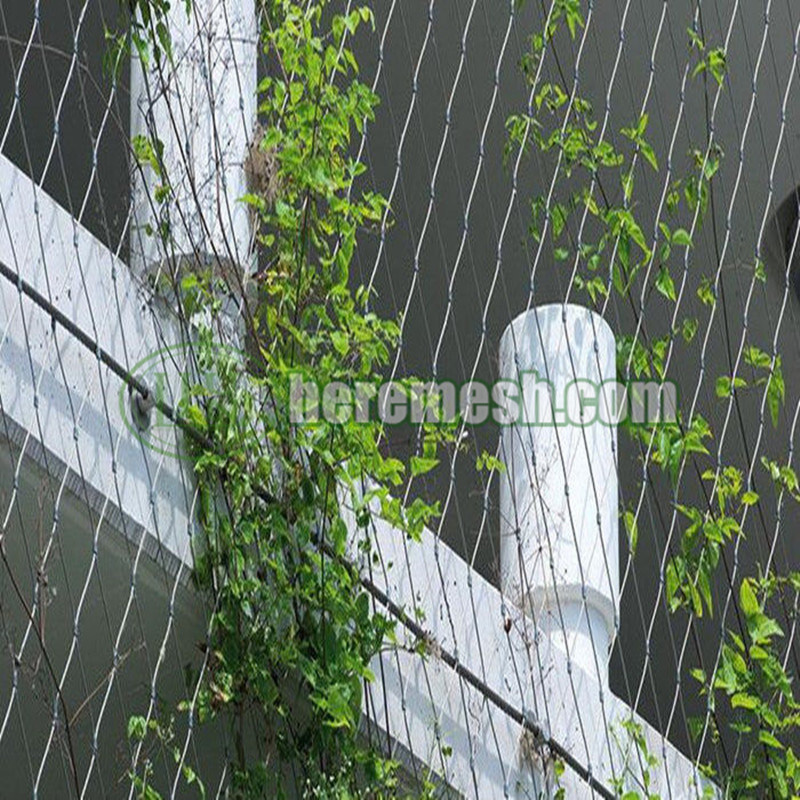 Green wall mesh ,Stainless steel green wall mesh, plant climbing mesh