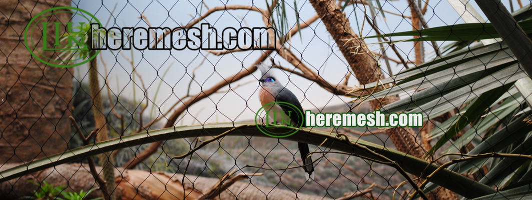 Aviary Mesh For Finches, Small Bird Aviary Net,Finches Aviary Netting