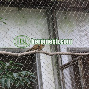 Wire Mesh Bird Netting/Cage And Aviary Wire Mesh