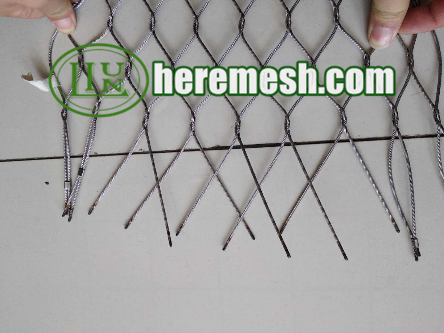 Eagle Exhibition Netting Mesh#2051 Completed The Delivery