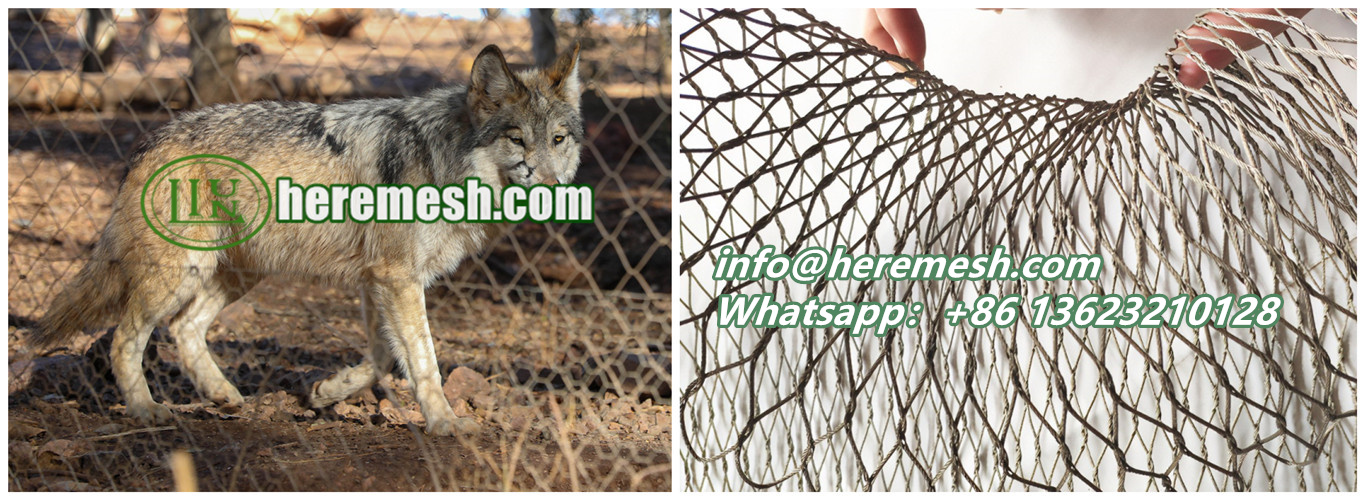 Wolf Enclosure Mesh, Wolf Fence Netting, Wolf Exhibition Mesh