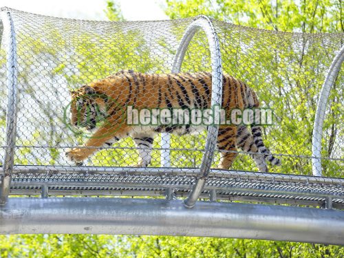 Creating Ecological Tiger Enclosure: Zoo Tiger Enclosure Netting Solutions