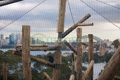 Chimpanzee Exhibition Mesh, Chimpanzee Enclosure Mesh