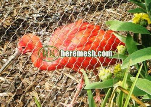 Flexible Aviary Wire Netting, Aviary mesh panels, Bird aviary mesh