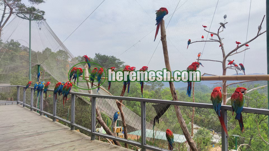 Best Netting For Parrot Aviary , Parrot Aviary Netting