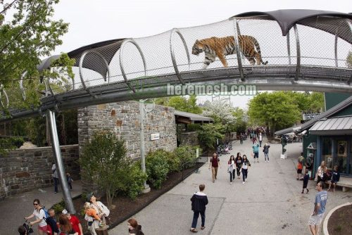 Open Animal Enclosure-Zoo Animal Enclosure Mesh