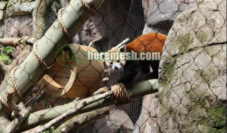 Red Panda Enclosure Mesh, Red Panda Exhibition Netting