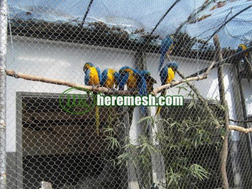 Stainless Steel Bird Aviary Mesh Netting, Aviary Netting