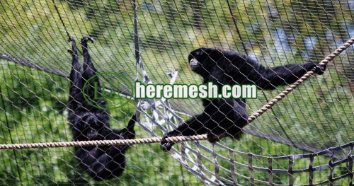 Monkey Enclosure Wire Mesh, Monkey Exhibition Netting
