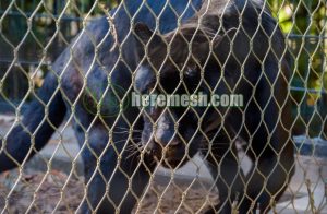 Panther Enclosure Mesh , Predator enclosure with rope mesh