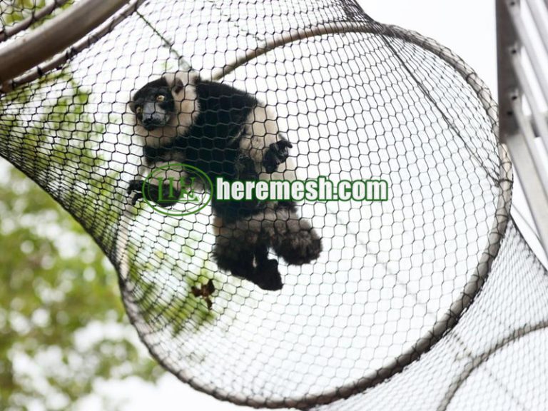 Lemur Enclosure Mesh ，Lemur Exhibition Mesh Netting