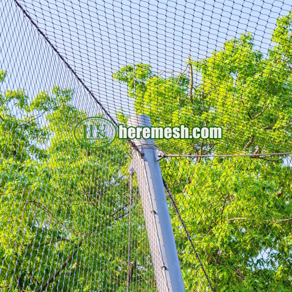 Ferrule Mesh , Stainless Steel Ferrule Mesh, Ferruled Mesh