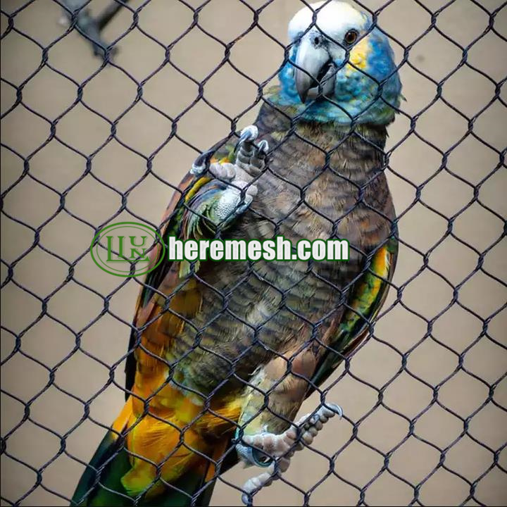 Stainless Steel Rope Bird Aviary Net For Sale , Bird Aviary Mesh