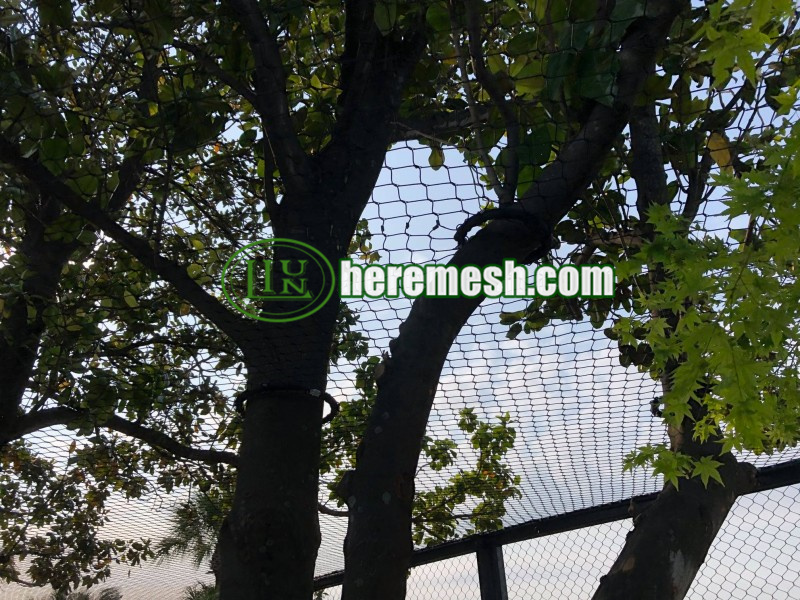 Rope Mesh As Animal Enclosure Mesh , Animal Enclosure Mesh