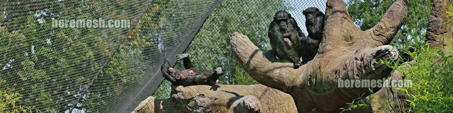 Chimpanzee Enclosure - Created From Liulin Wire Mesh