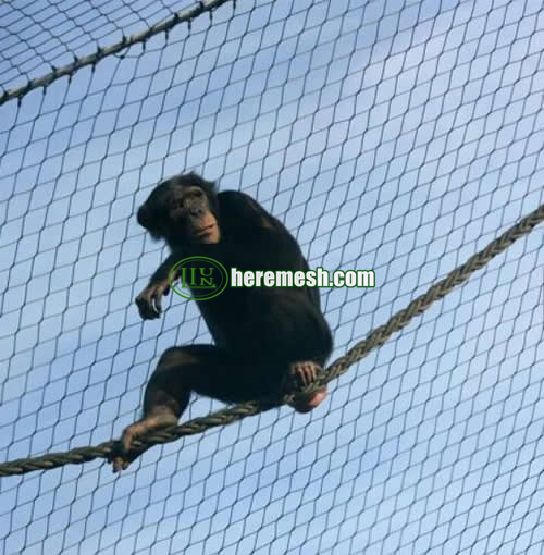 Chimpanzee Enclosure - Created From Liulin Wire Mesh