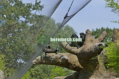 Chimpanzee Enclosure - Created From Liulin Wire Mesh