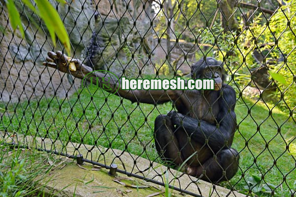 stainless steel ferrule mesh manufacturer , Ferrule Mesh